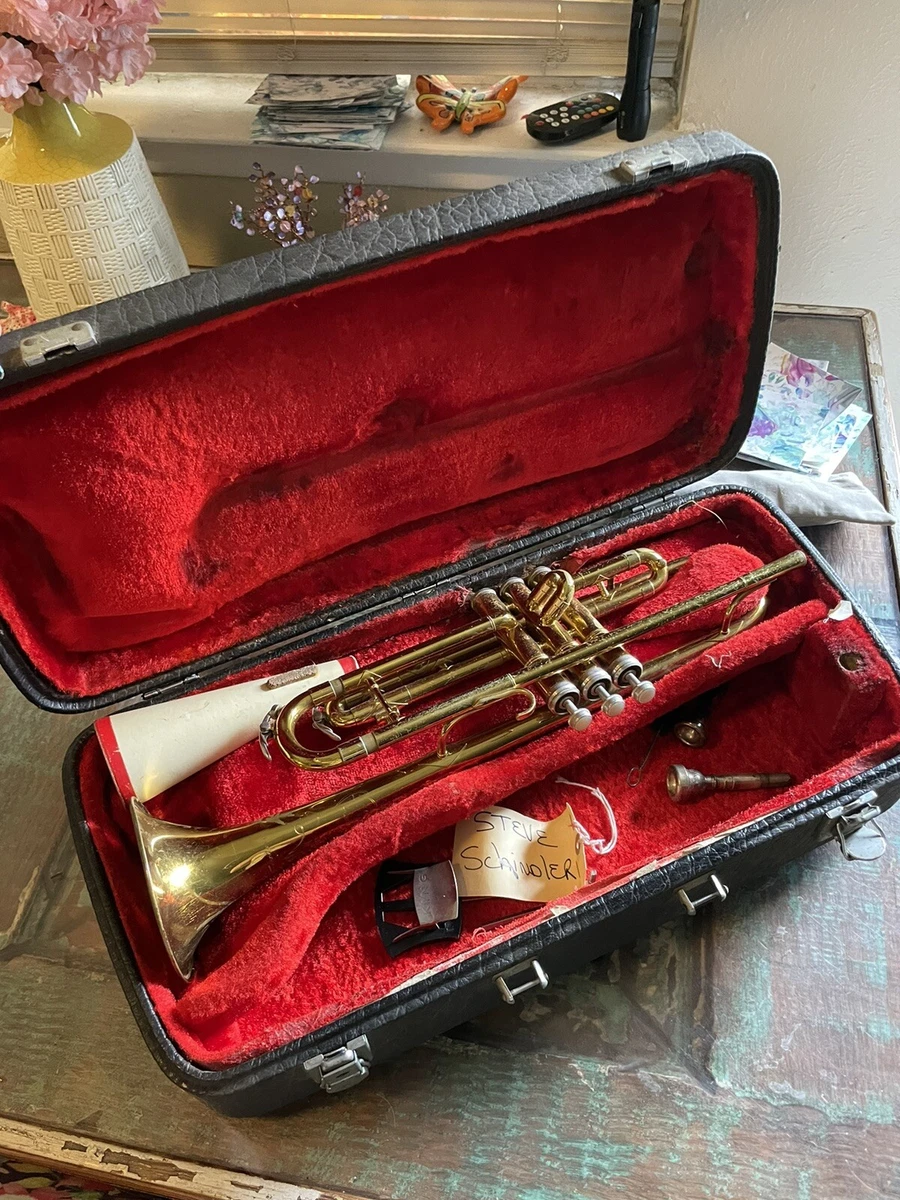 King Instrument Case Musical