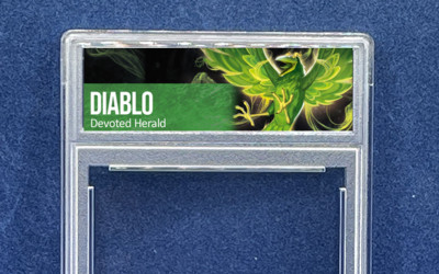 DIABLO Devoted Herald URSULA'S RETURN Enchanted Custom Slab Case | eBay