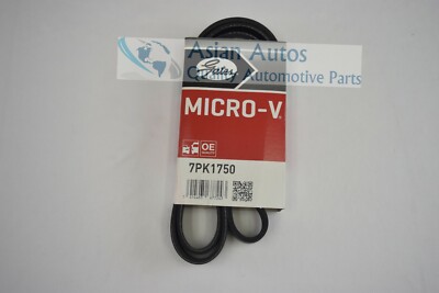 Gates 7PK1750 Serpentine Belt Fits: Acura TSX 04-08 Honda CR-V 07-09 | eBay