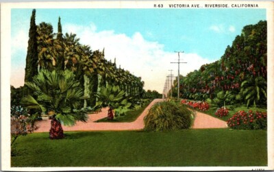 Postcard Victoria Ave Riverside California White Border | eBay
