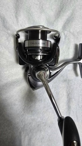 Daiwa CALDIA 2500 Spinning Reel Used No Customs Fees US | eBay
