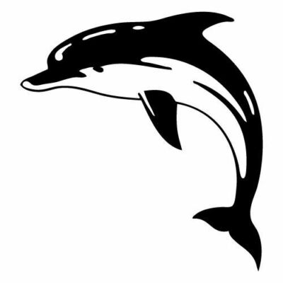 Kit 2 adesivi tuning DELFINO dolphin camper boat decals | eBay