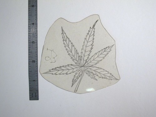 vtg 1960s 1970s Tattoo Flash acetate stencil Weed Pot Leaf signed v3 ...