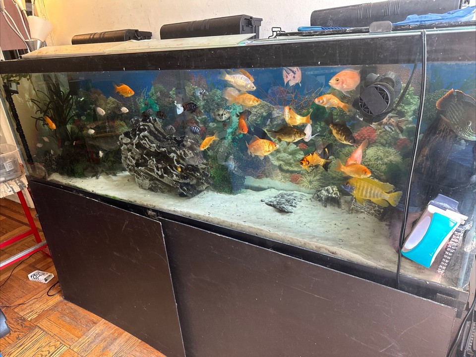 100 gallon fish tank With Stand And Filters - No Leaks! | eBay