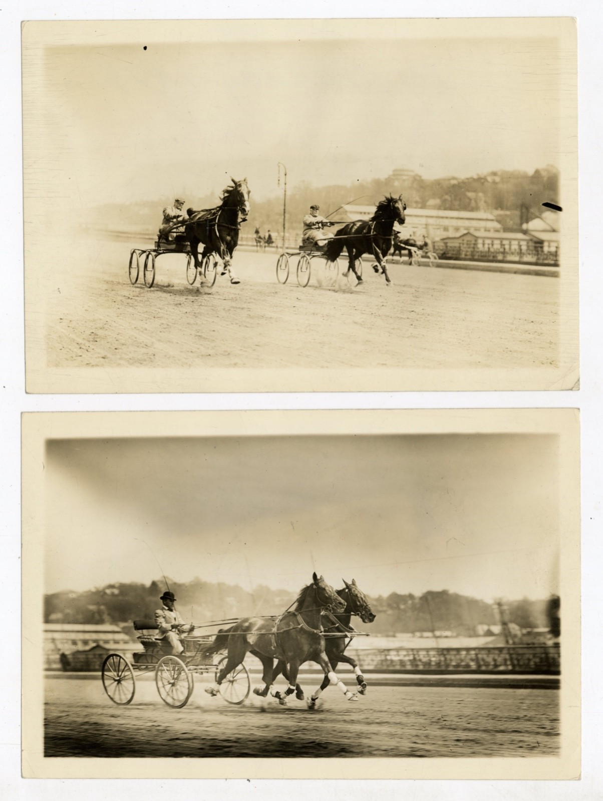 1890s Horse & Carriage Racing at the New York Speedway NYC Photos (2 ...