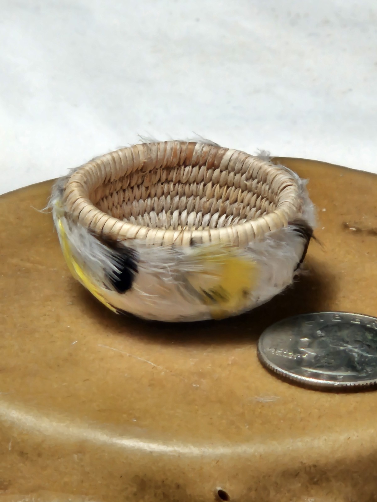 NATIVE AMERICAN INDIAN Vtg FEATHER POMO BASKET - ROSE ANDERSON (d.) | eBay