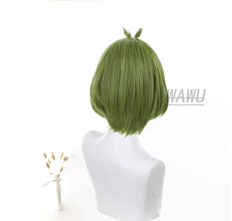 Bashame Meme Cartoon Cosplay Short Wig Heat Resistant Synthesis Wigs | eBay