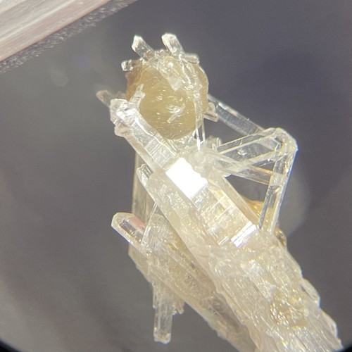 Cookeite Crystal Micro On Quartz Ouachita National Forest Saline Co ...