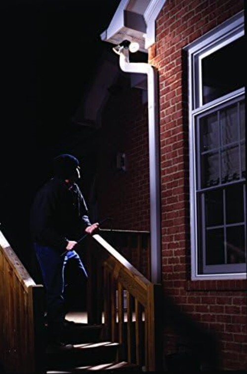 Cooper Lighting 110 Degree Motion Detector Floodlight - Black - Durable ...