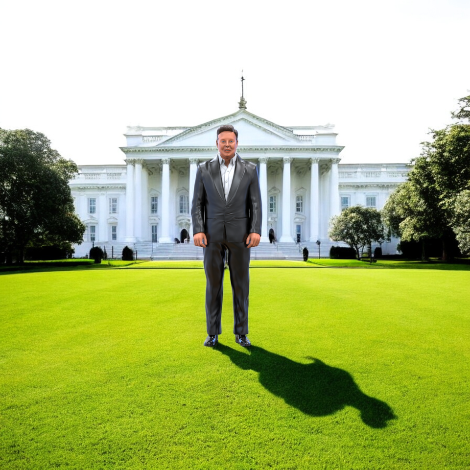 Elon Musk Resin 3d print Unpainted Figure White House DOGE | eBay