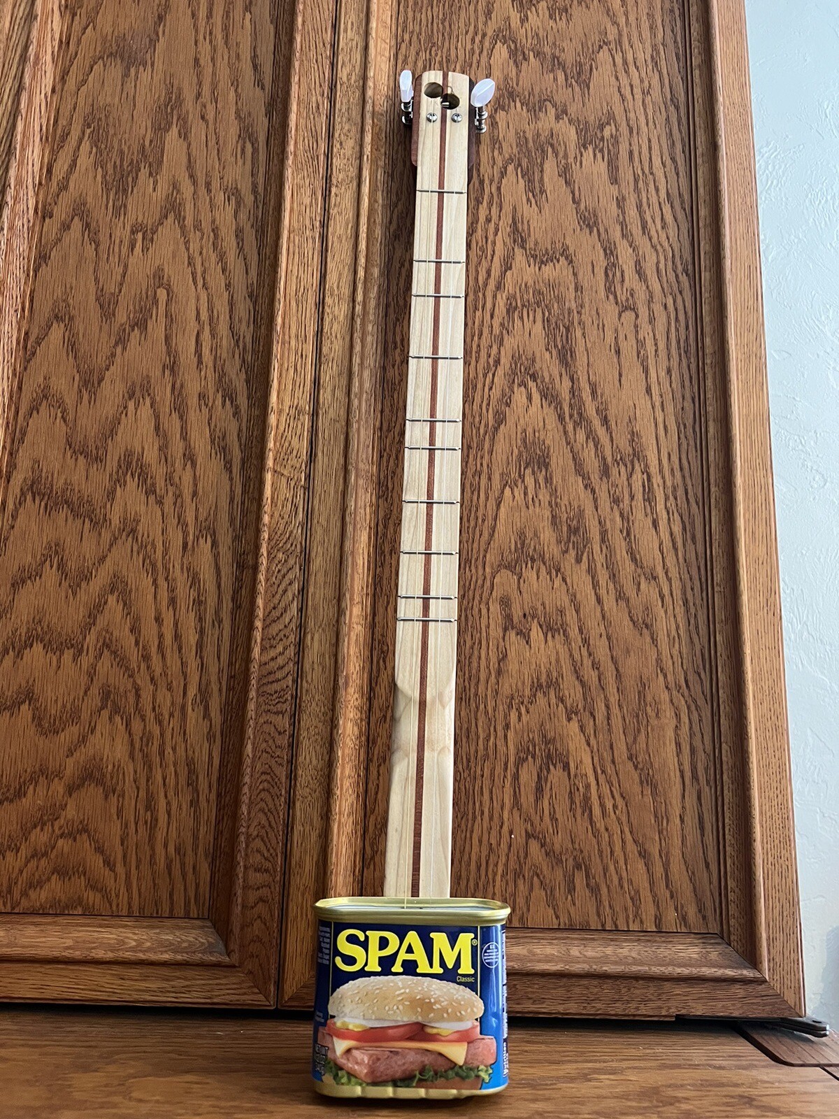 SPAMJO! 2 STRINGS! THE STRADIVARIUS OF STRING CAN INSTRUMENTS! EASY TO ...