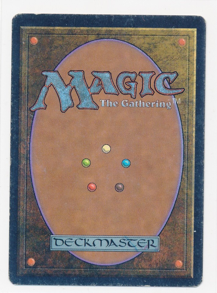 MTG Beta Forest A Basic Land HP Vintage Magic the Gathering GD | eBay