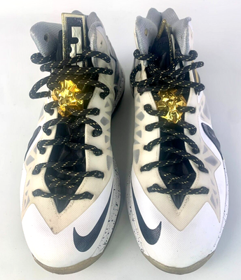 Lebron 10 Elite Home