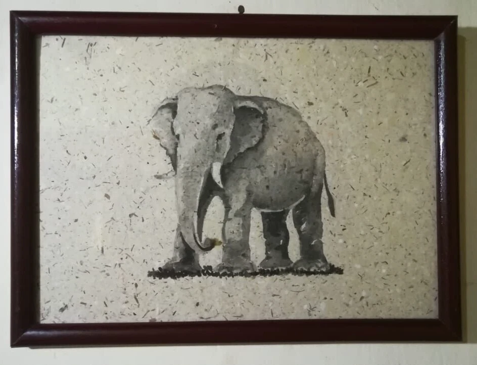 Elephant Dung Art