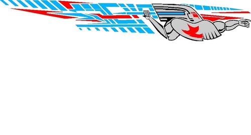 FAST AND FURIOUS CAR VINYL DECAL SIDE FOR CAR | eBay