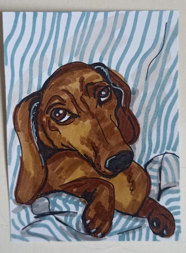 ACEO Dachshund dog puppy pet Original painting art cute 2.5"x 3.5 ...