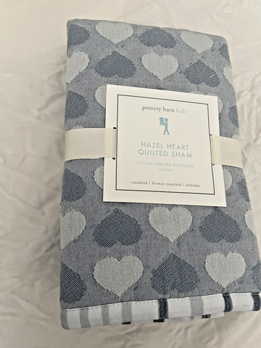 Pottery Barn Disney princess Patch school girl heart birthday gift ...