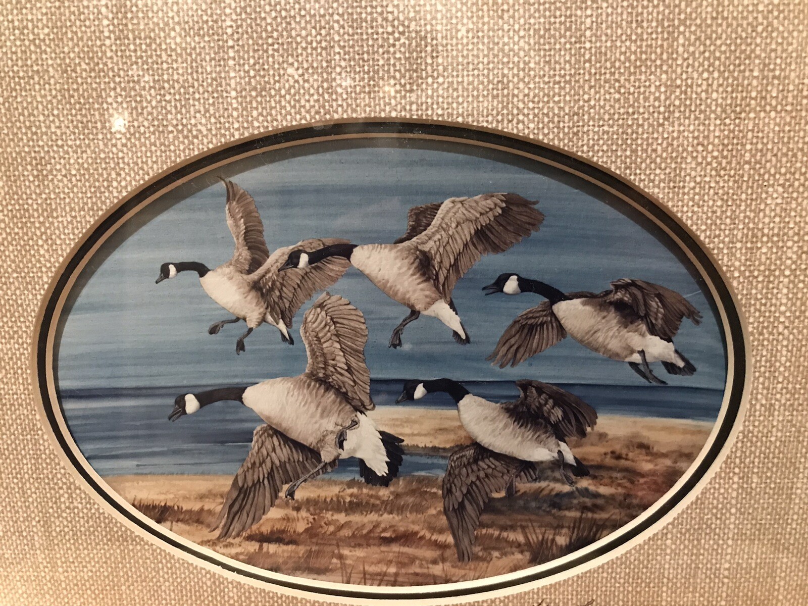 Steve Leonardi 8 X 10 Matted Flying Geese Bird Print Signed Sealed ...