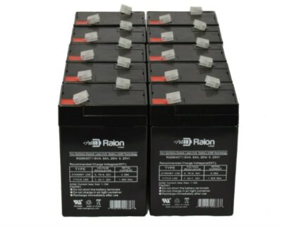 Raion Power 6V 4.5Ah Battery For Light Alarms 6600004 - 10 Pack | eBay