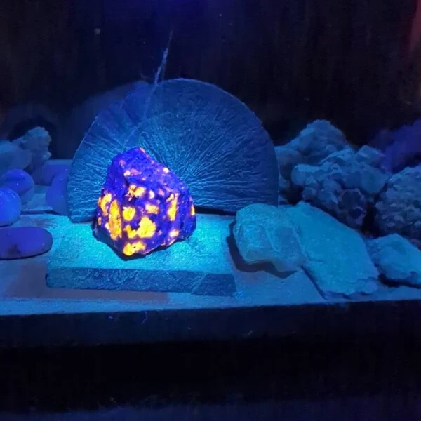 3pcs 2025NEW Raw Natural Yooperlite Crystal UV Reactive Rough Stones ...