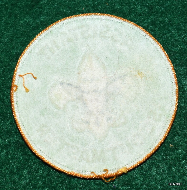 BOY SCOUT - ASSISTANT SCOUTMASTER - WHITE BACK - FREE SHIPPING | eBay