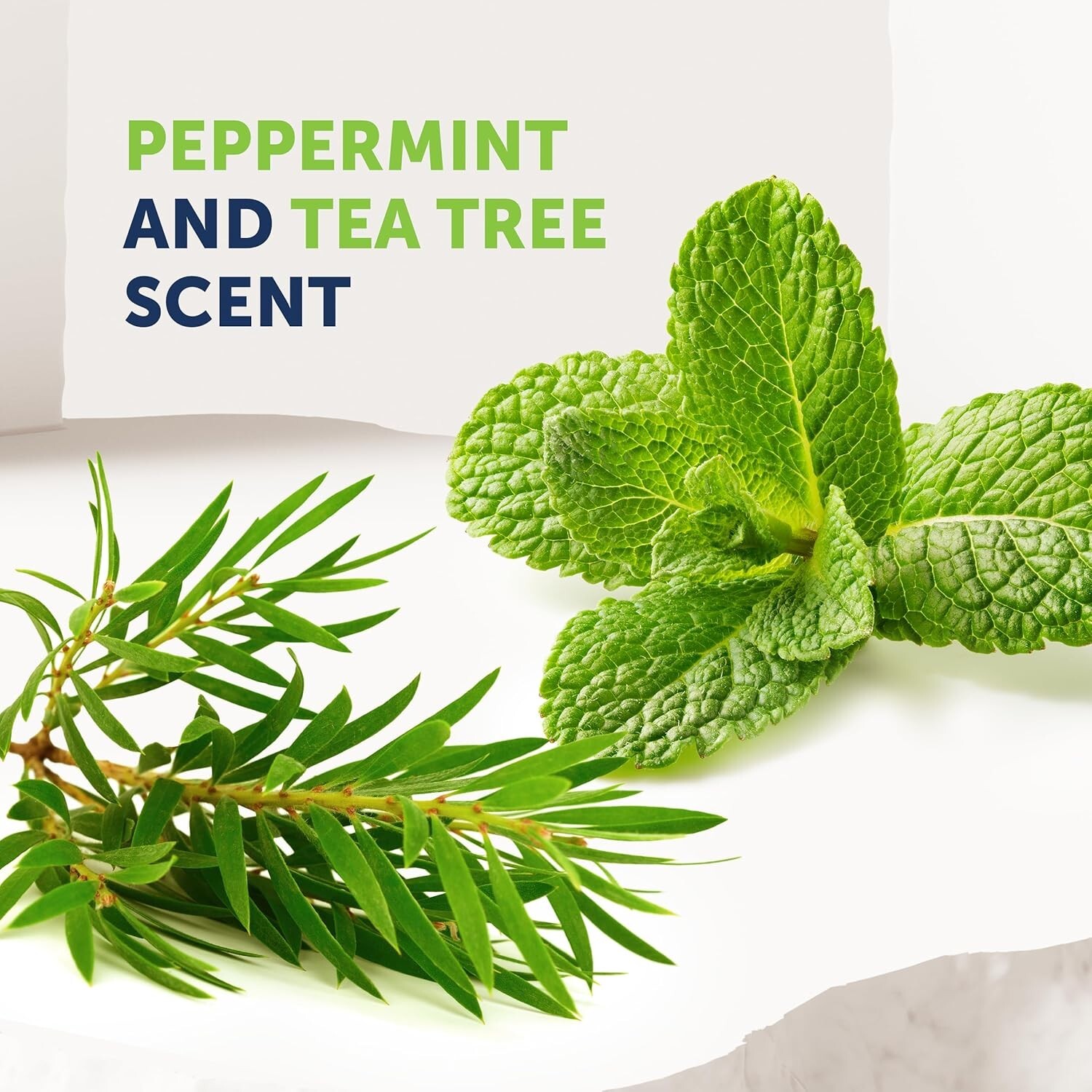 Truremedy Naturals Remedy Soap Tea Tree Oil Antibacterial Body Soap ⭐️⭐ ...