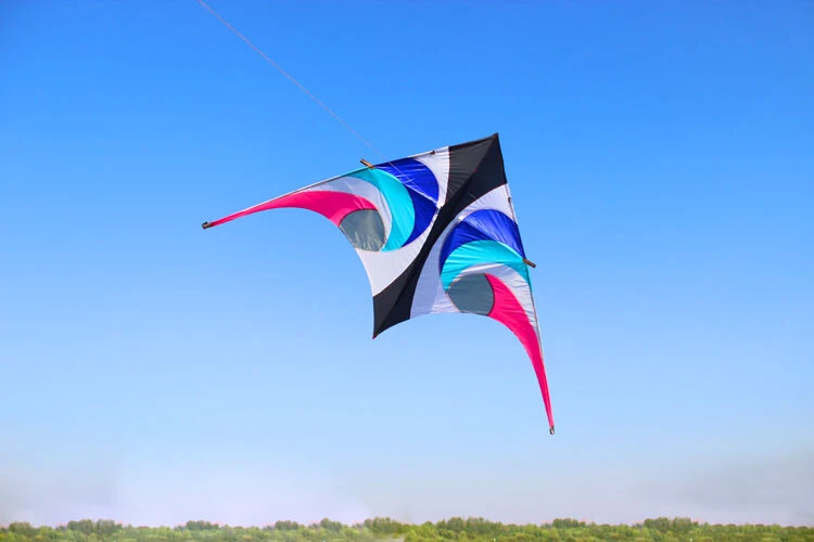2.8m Big Triangle Kite for Audlts Large Delta Single Line Kites Fun ...