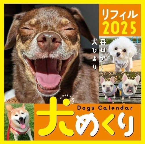Dog flip 2025 calendar refill daily CK-D25-02 | eBay