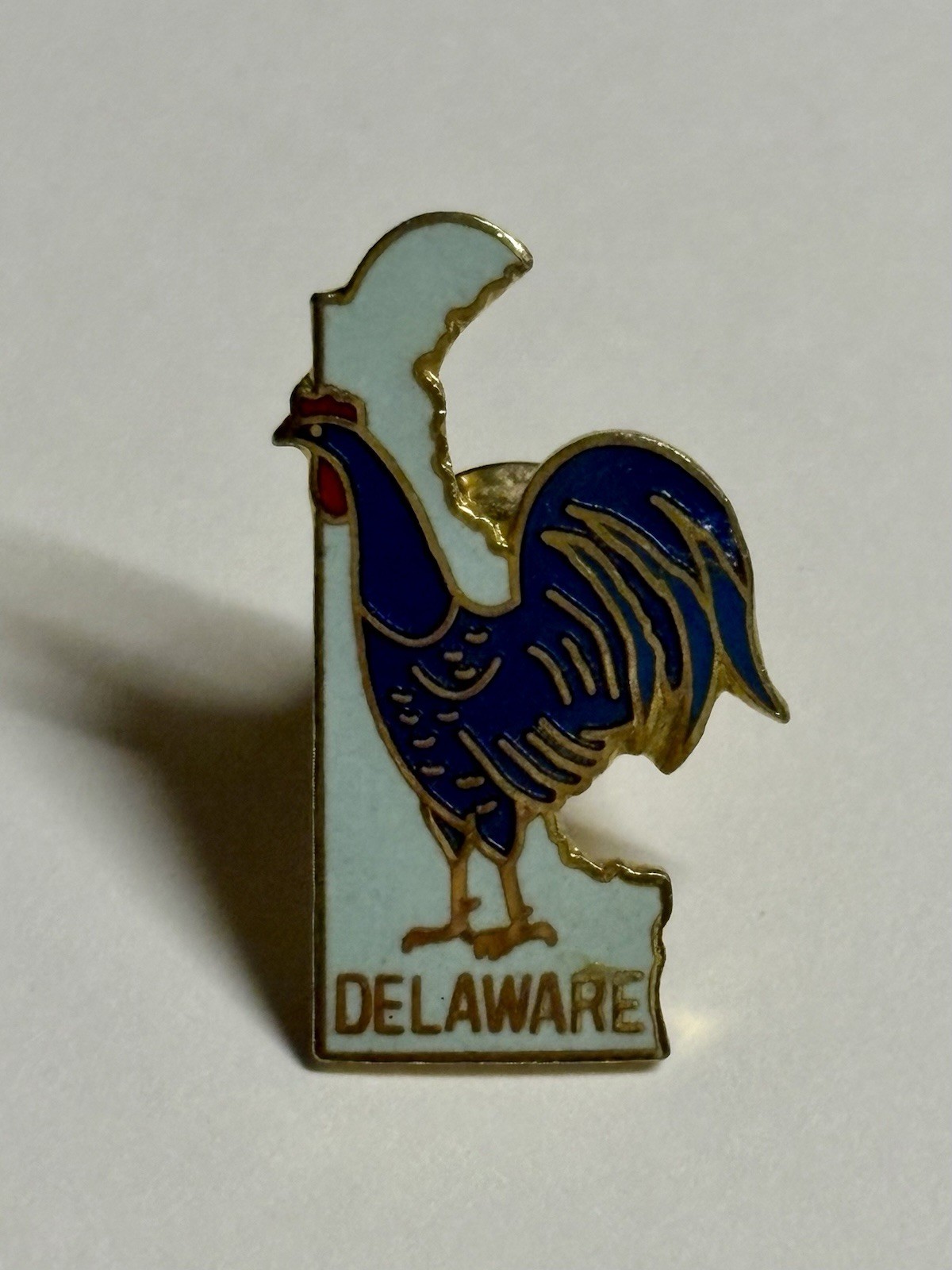 Vintage State of Delaware Souvenir Lapel Pin State Bird Blue Hen | eBay