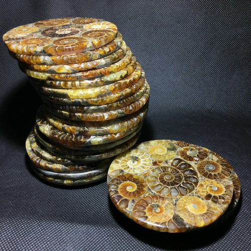 A+A+4.7"Natural Ammonite Disc Fossil Conch Specimen Reiki Healing Gift ...