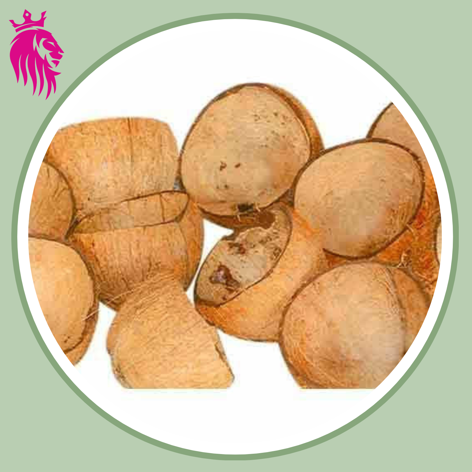 Coconut Shell Chips 100% Natural Eco Friendly Pure Ceylon Product ...
