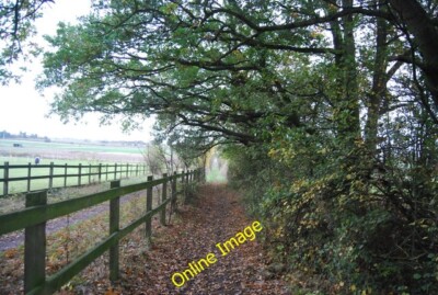 Photo 6x4 Footpath to Cooling Common Cliffe Woods c2011 | eBay UK