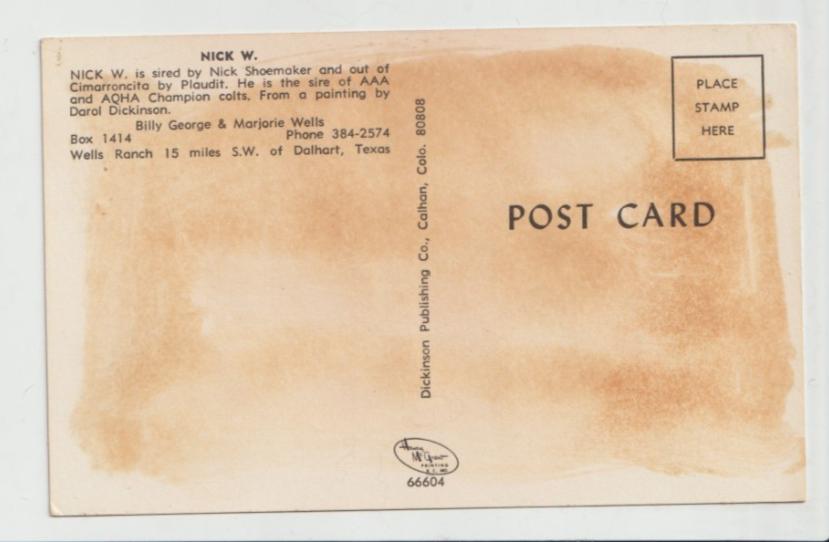 NICK W Champion Quarter Horse Stallion Postcard Dickinson Art Card | eBay