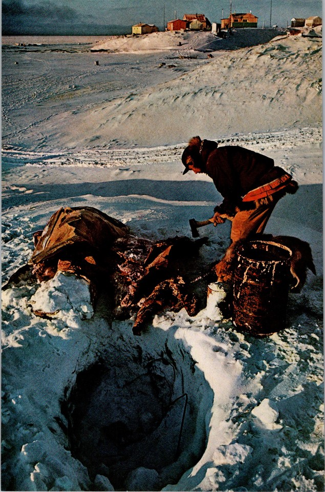 Vintage 1964 Arctic Scene Print - National Geographic Exploration Art ...
