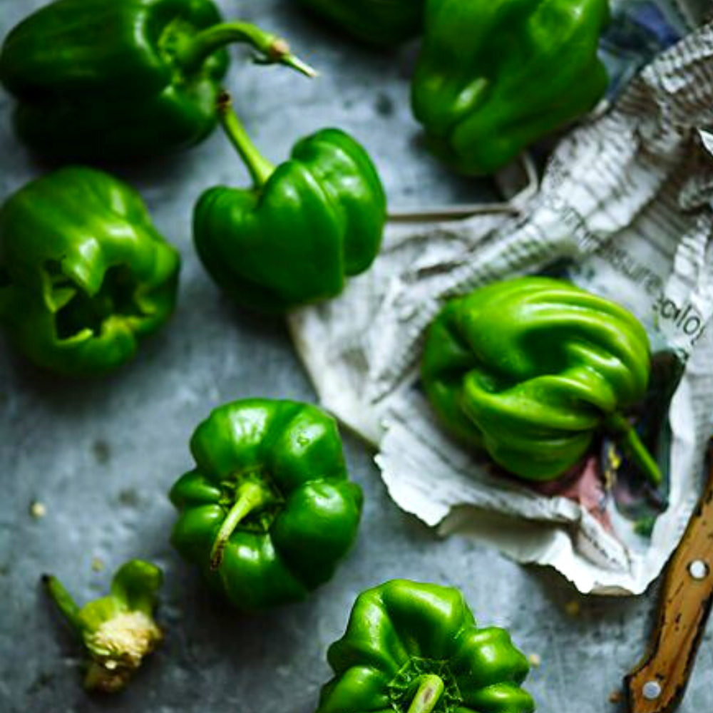 Scotch Bonnet Pepper Super Hot Spicy Nai Miris Endemic Dried Fresh ...