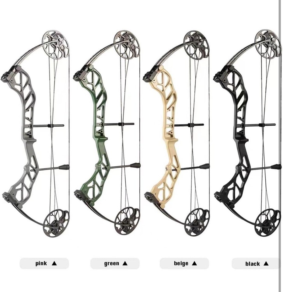 PANDARUS Compound Bow Archery for Youth and Beginner, Right Handed, 19 ...