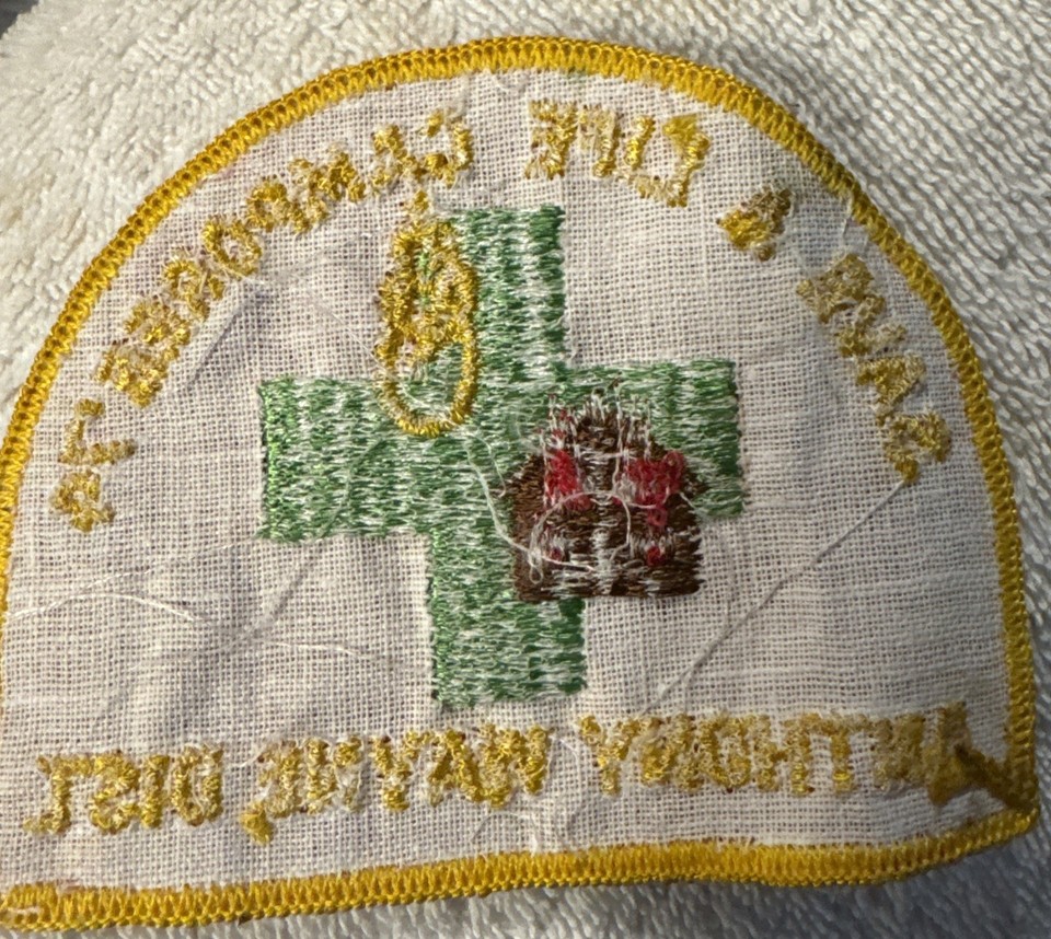1974 Anthony Wayne BSA Trail Patch vampires save a life vtg boy scouts ...
