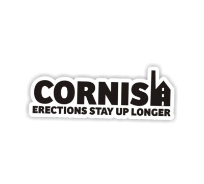 Cornish Erections Stay Up Longer 180mm x 65mm Decal Stickers Car Window ...