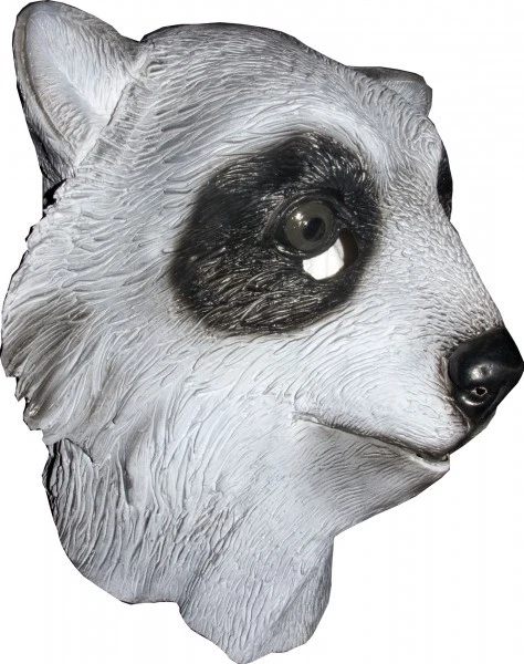 Raccoon Face Mask
