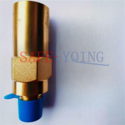 1PCS REGO PRV9432TP230C TP low temperature Dewar safety valve NEW | eBay
