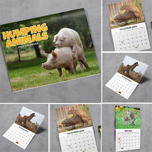 2024 Monthly Wall Calendar Hilarious Animals Mating Funny Novelty ...