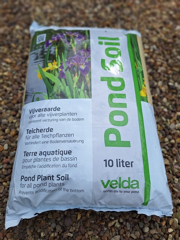 Various NATIVE BRITISH POND MARGINAL PLANTS water bog aquatic wildlife ...