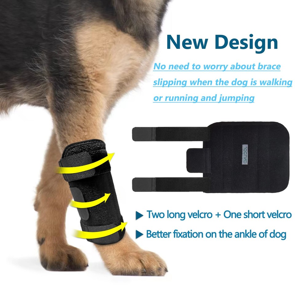 Dog Front Leg Brace with Metal Strips Canine Hock Wrap for Carpal ...