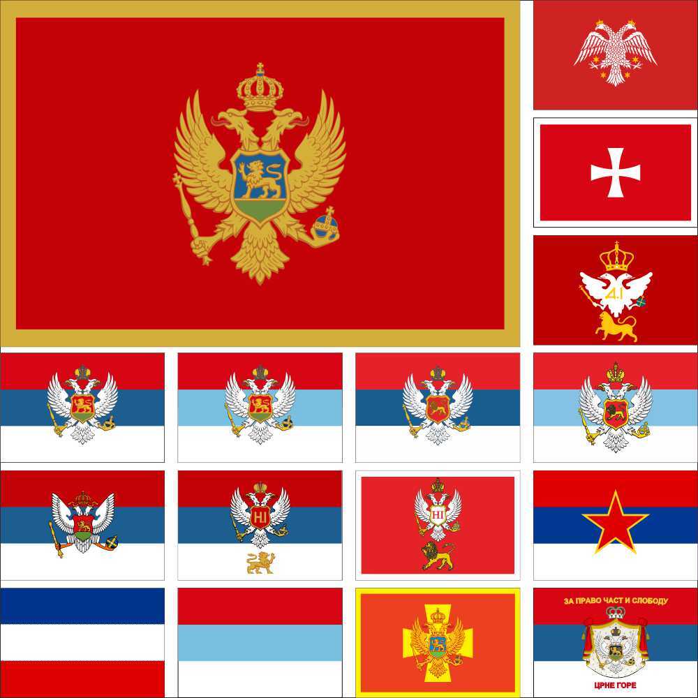 Montenegro Flag