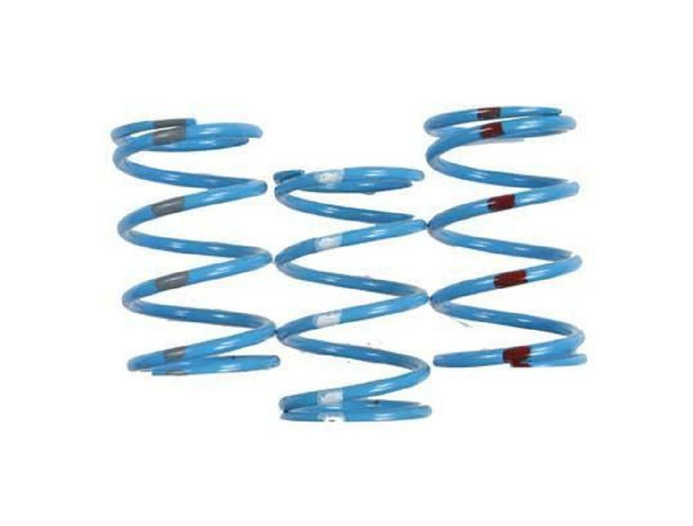 Team - 210220-005 - Yamaha Steel Primary Clutch Spring, Blue with ...
