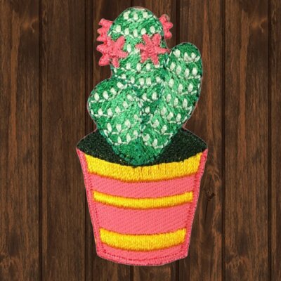 Cactus Embroidered Patch — Iron On | eBay