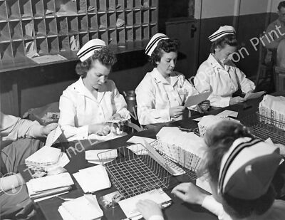 1944 Nurses Working at Pearl Harbor Hospital, HI Old Photo 8.5" x 11 ...