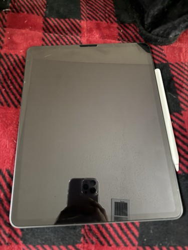 Apple iPad Pro 12.9-inch (4th generation) A2229 128 GB w/extras ...