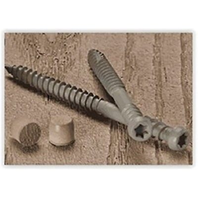 Starborn Pro Plug No. 10 x 2-3/4 in. L Star Trim Head Deck Screws and ...