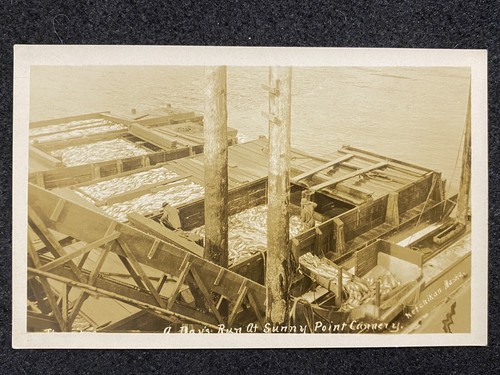 Ketchikan Alaska AK RPPC Sunny Point Fish Cannery Antique Real Photo ...